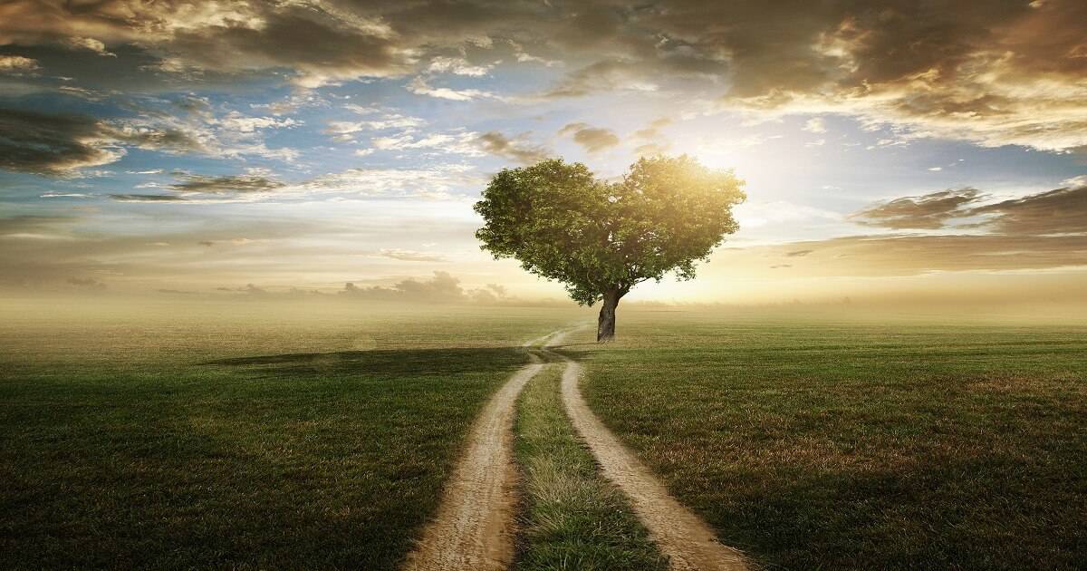 What Guarding Your Heart Really Means What Guarding Your Heart Really Means